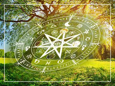 Signe du Chêne (astro celte) : force, stabilité et sagesse ancestrale
